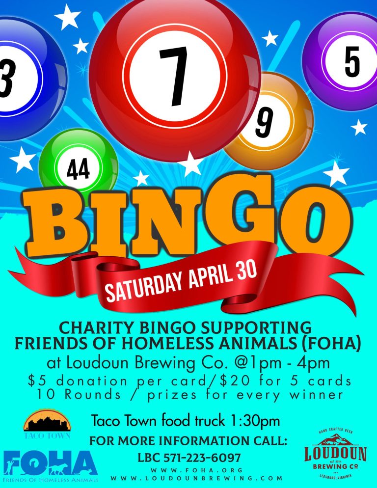 Playing for a Purpose: The Impact of Bingo on Charity Funds – Canara ...